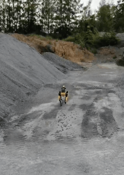 STOCKPILE MONITORING | Skyller