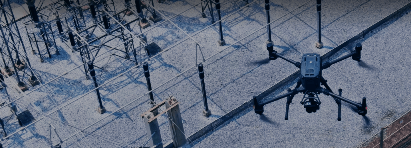 DISTRIBUTION LINE INSPECTION | Skyller