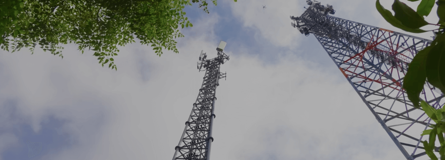 Tower Inspection | Skyller